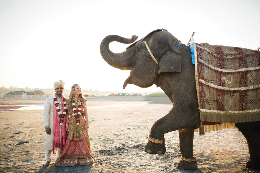 Real Wedding: Katie O’Neal & Vivek Reddy Real Wedding: Katie O’Neal & Vivek Reddy